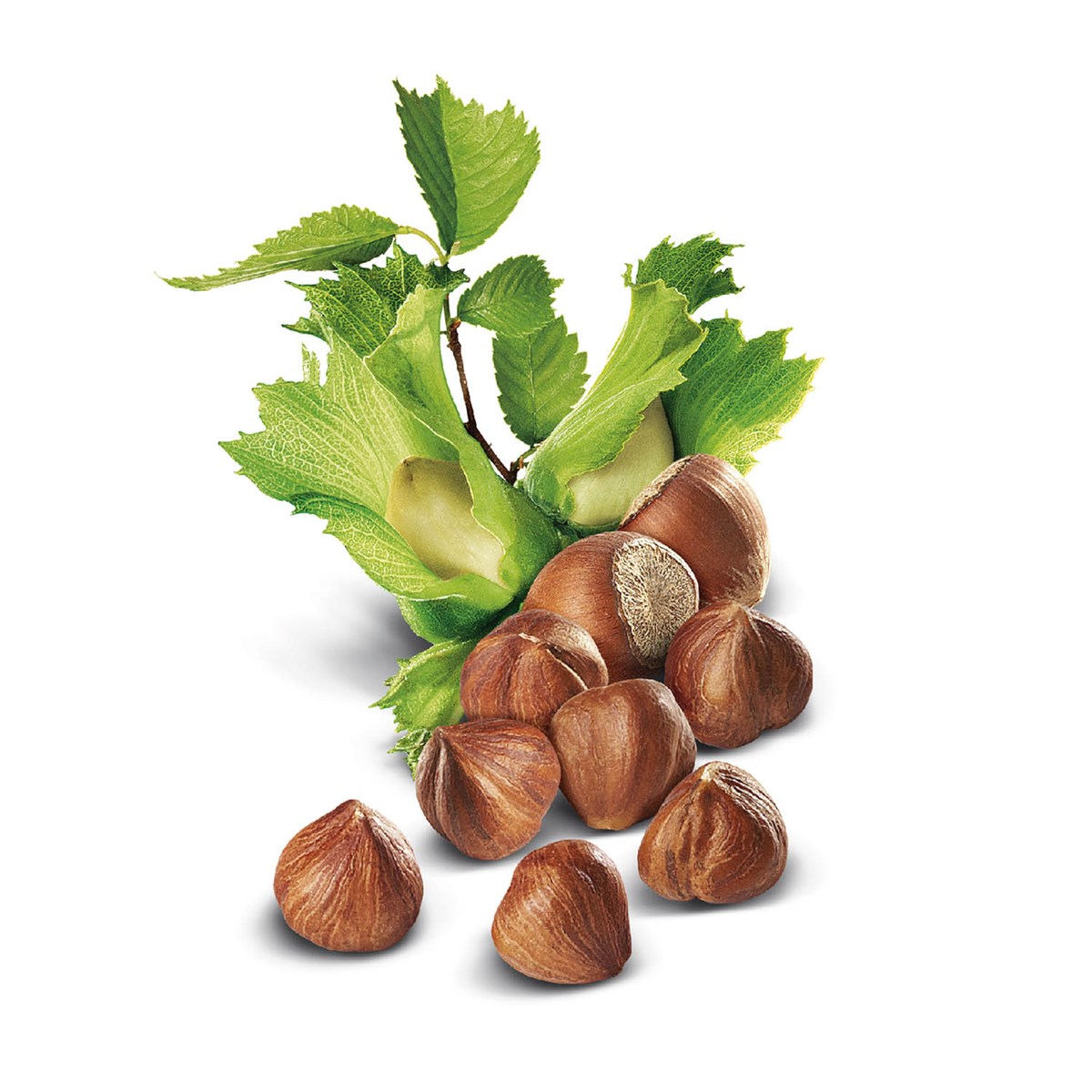 Çiğ Fındık İçi Kilitli Paket 1 Kg