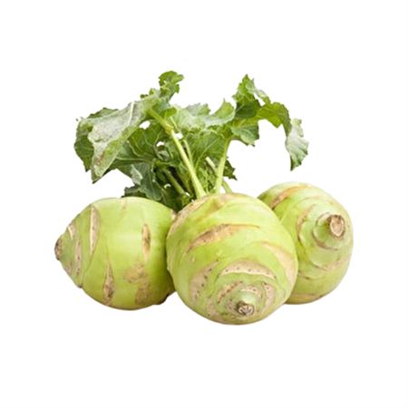 Alabaş Turp Siparişi | SEBZE MEYVE DÜNYASI | 0216 491 05 70