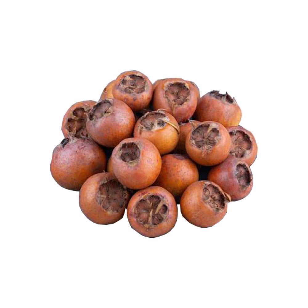 Muşmula Döngel Siparişi | SEBZE MEYVE DÜNYASI | 0216 491 05 70