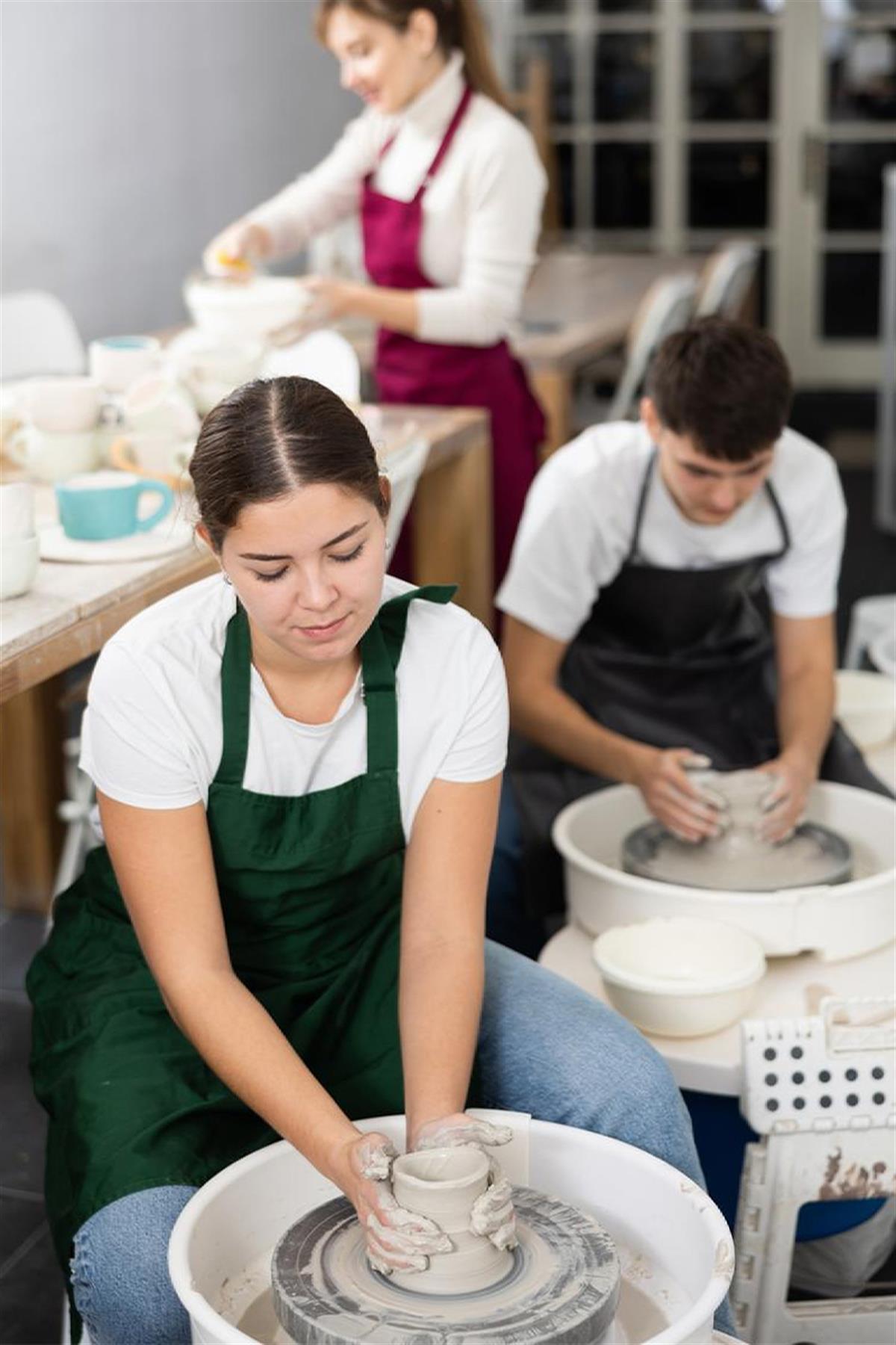 Nidec (Shimpo) Rk 55 Vl