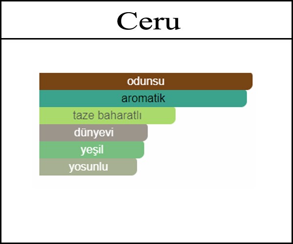 CERRUT 1881 FOR MEN [Ceru] Erkek Parfümü