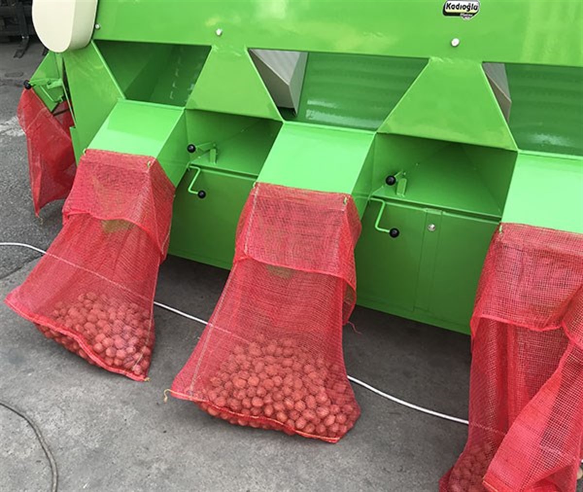 Twist1400L Walnut Screening and Calibration Machine