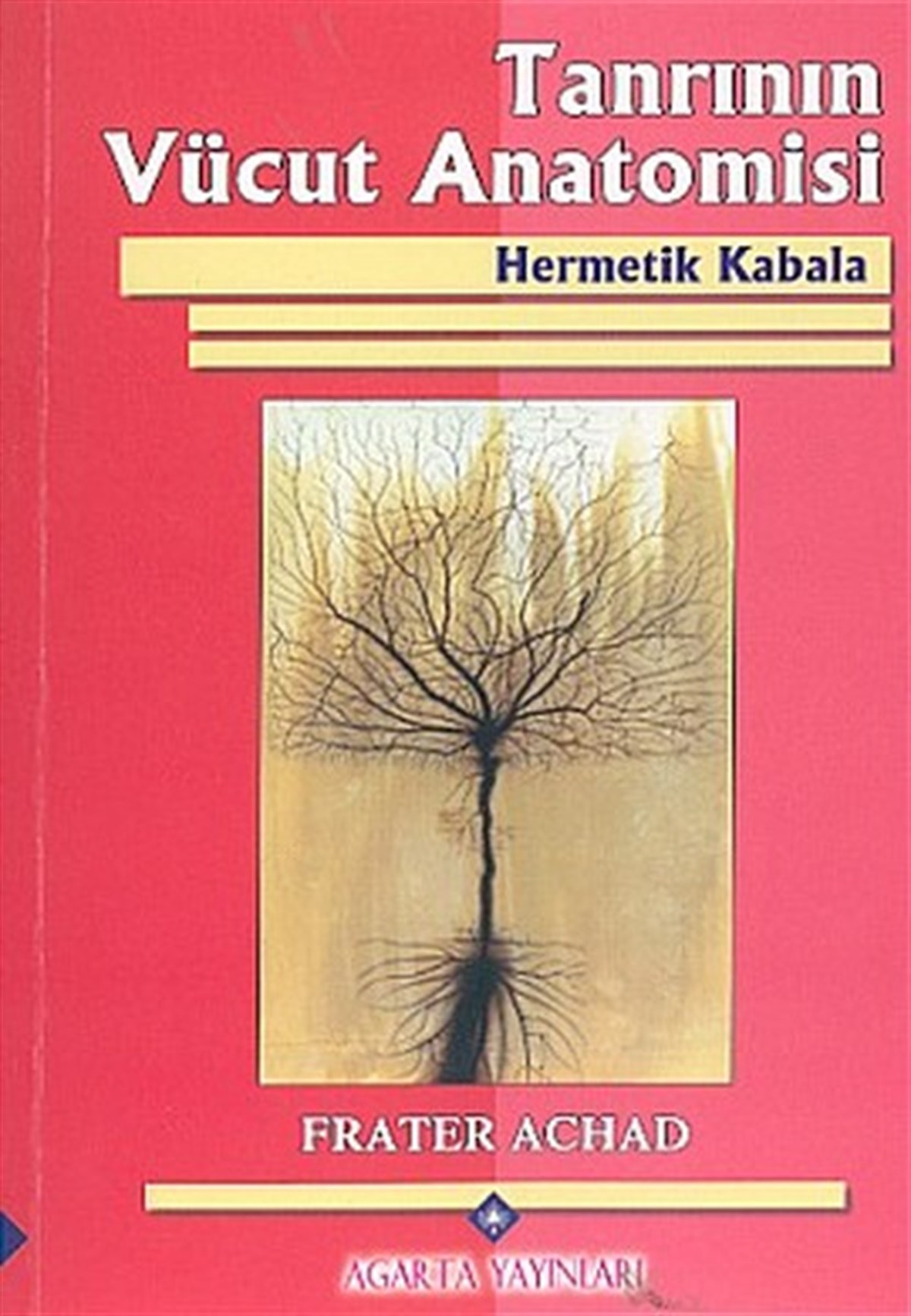 Tanrının Vücut Anatomisi - Hermetik Kabala | Köln Kütüphane Tanrının Vücut Anatomisi - Hermetik Kabala | Köln Kütüphane