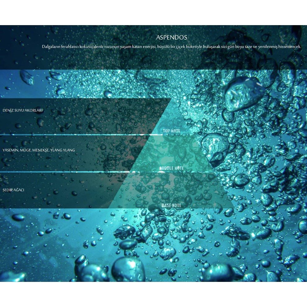 Rulopak Aspendos 100 ml M7 Koku Kartuşu - Banyotrendy