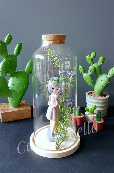 Cam Fanus İçerisinde Aksesuar