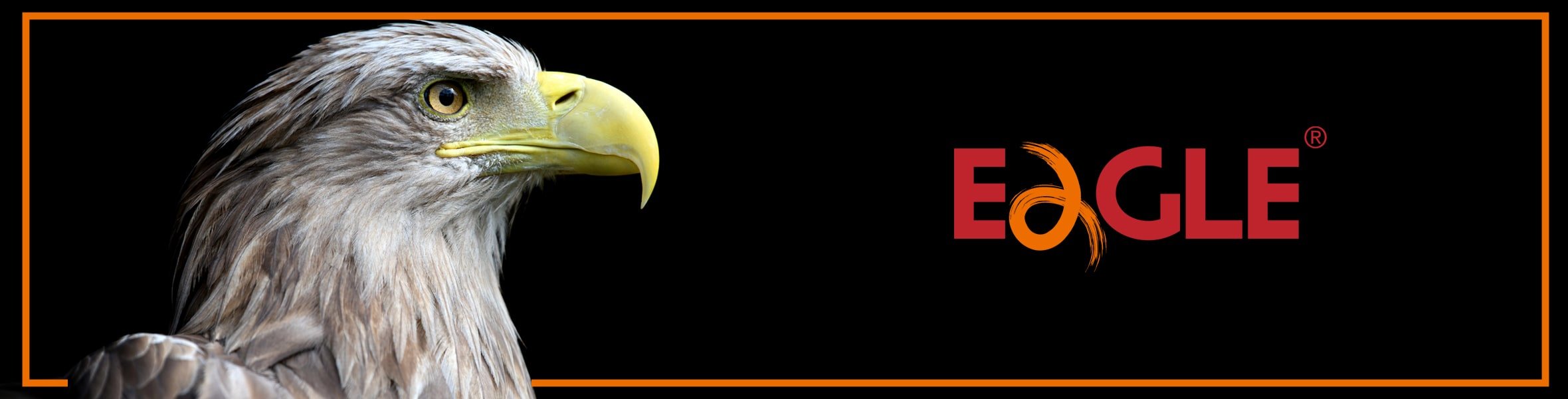 Anasayfa > 07.12.2023