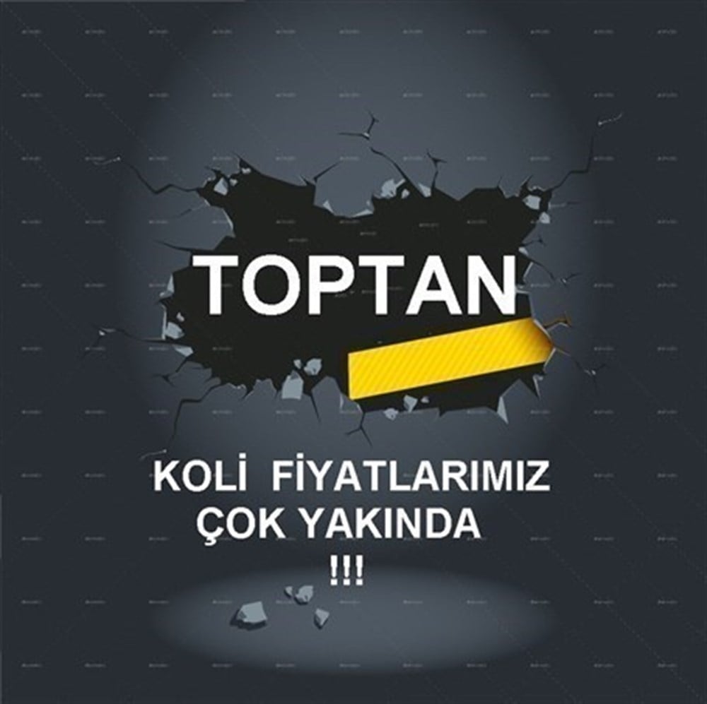 TOPTAN NEON LED