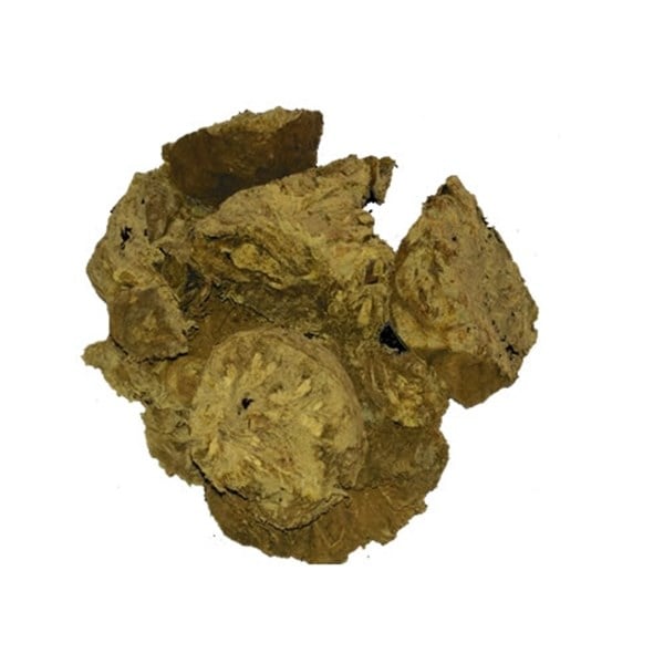 Çakşır Kökü (Ferula Root)