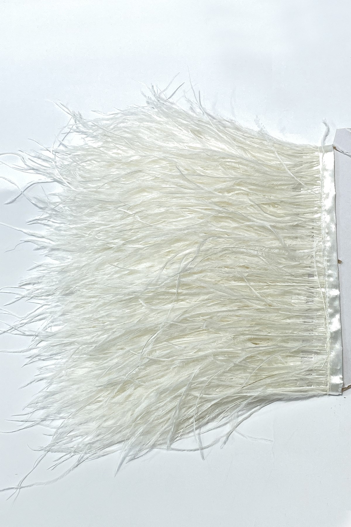Kırık Beyaz Deve Kuşu Tüyü 1 mt | Hayalperest