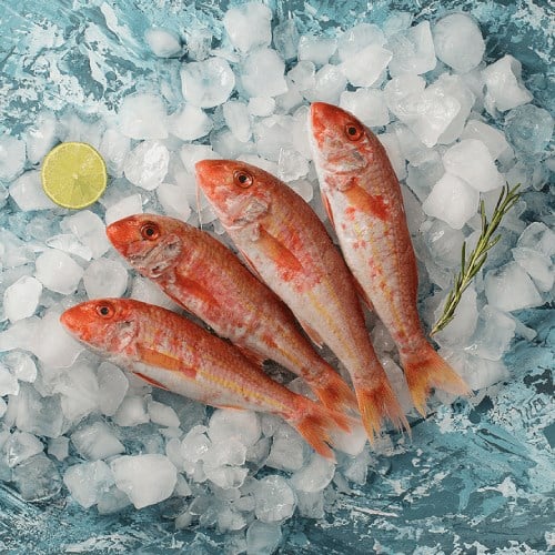 Barbun (500 gr) Balık Ye