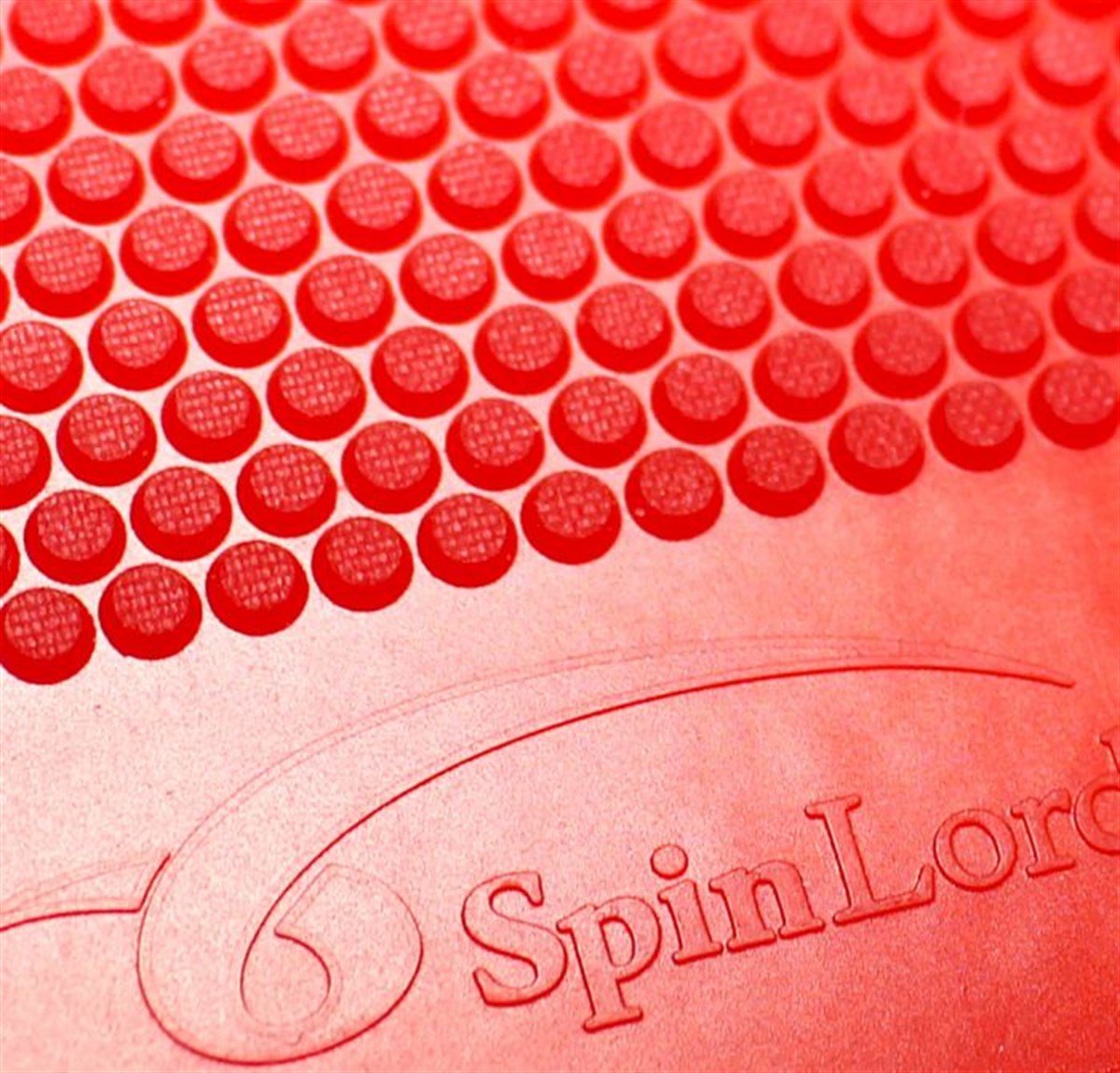 Spinlord Degu | masatenisci.com