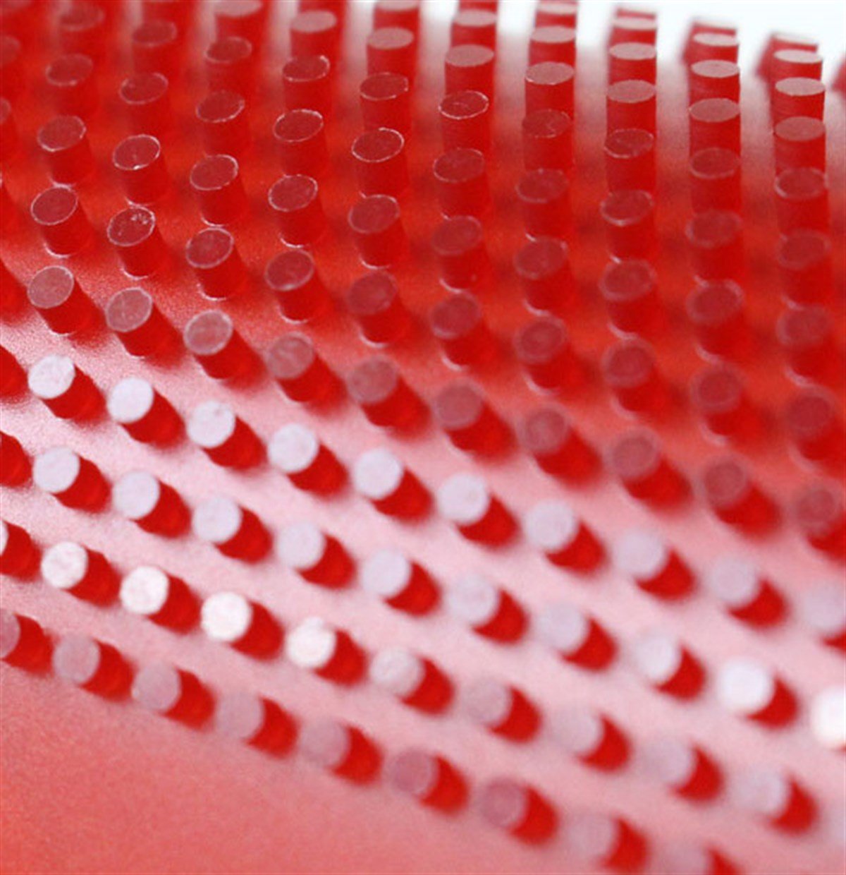 Spinlord Dornenglanz | masatenisci.com