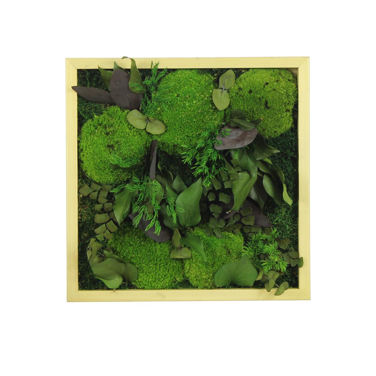 Yosun Tablo Natural Light K1 - Terraros