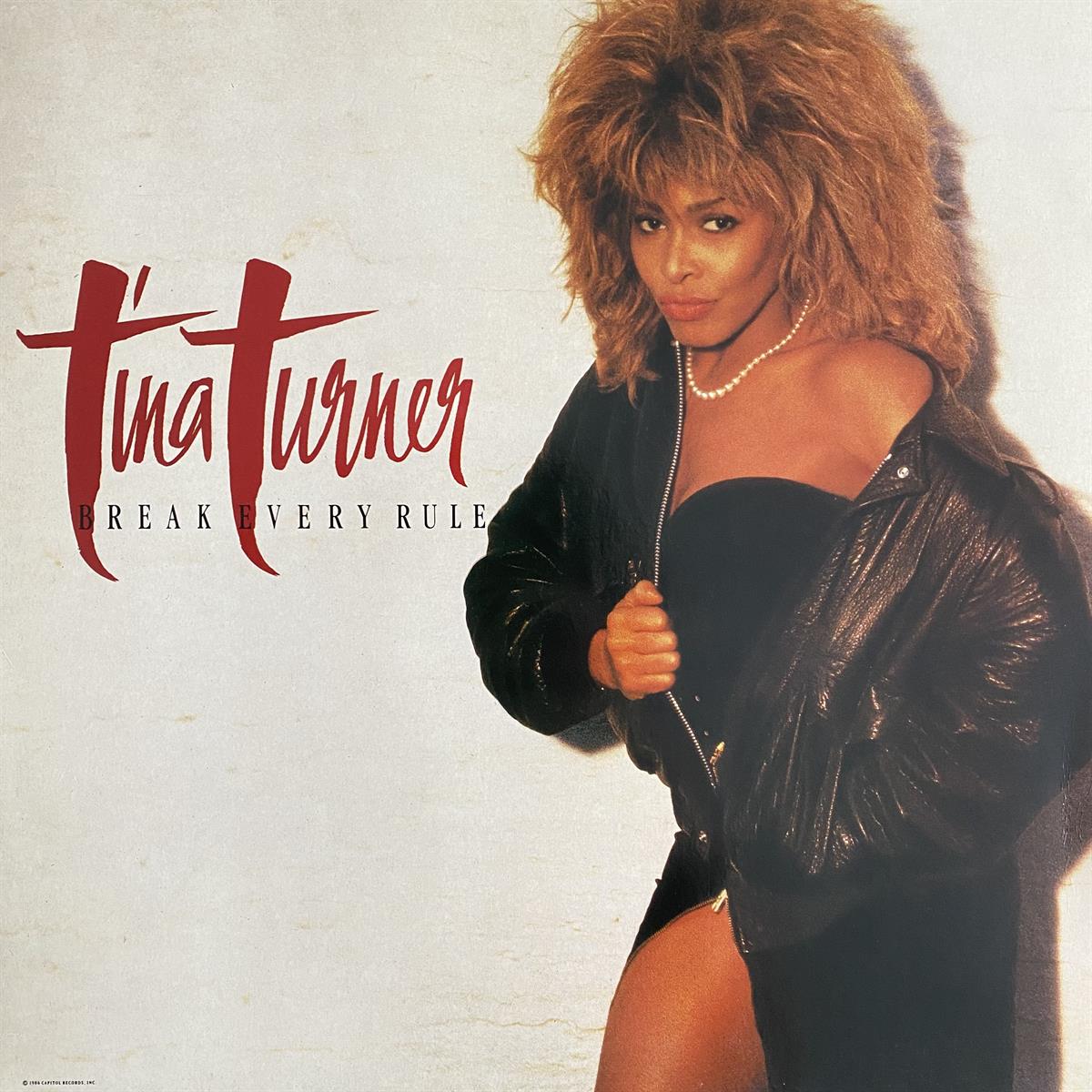 TINA TURNER - BREAK EVERY RULE