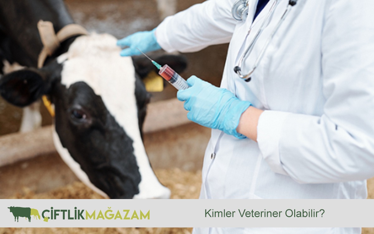 Kimler Veteriner Hekim Olabilir?