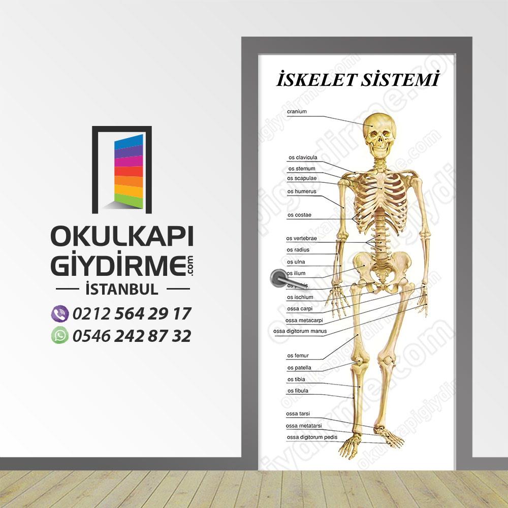 İskelet Sistemi Latince Kapı Giydirme