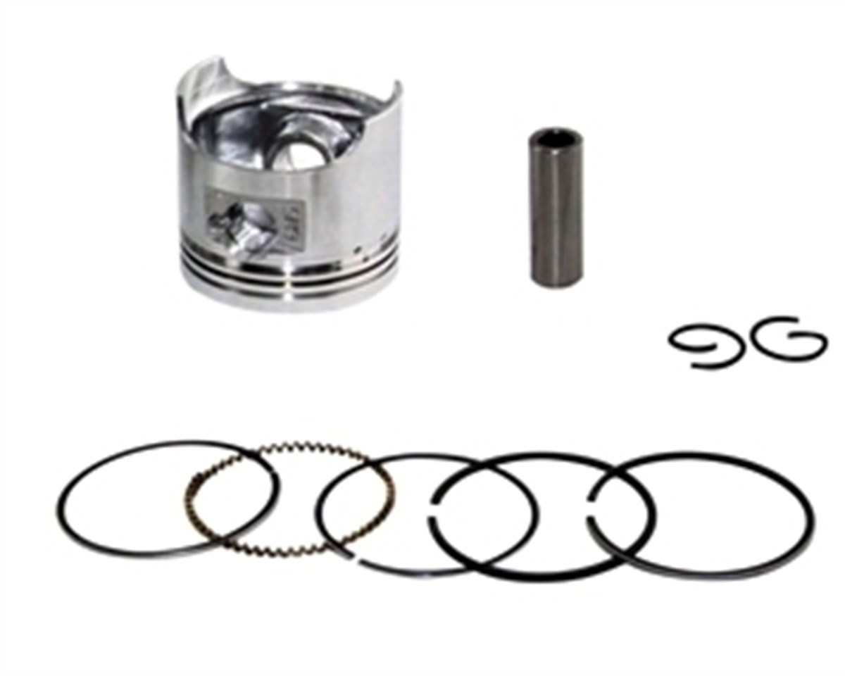 Cup 100 Piston Sekman Seti