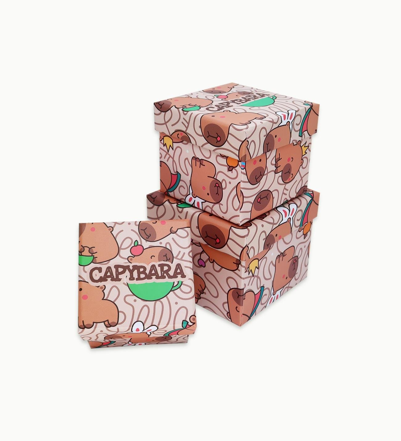 Capybara Mood Tasarımlı 3'lü Mini Kutu