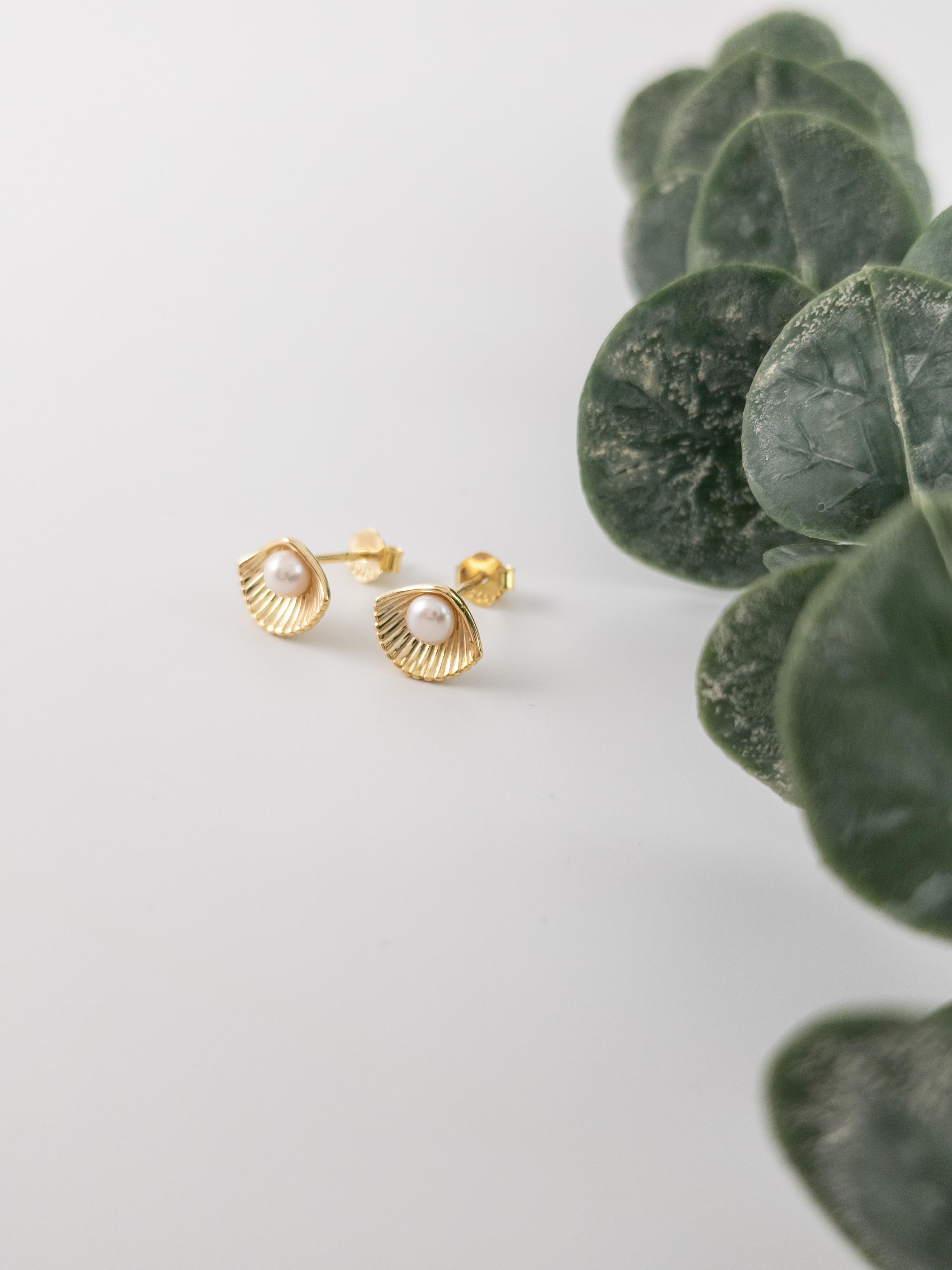 İstiridye İnci Çivi Küpe