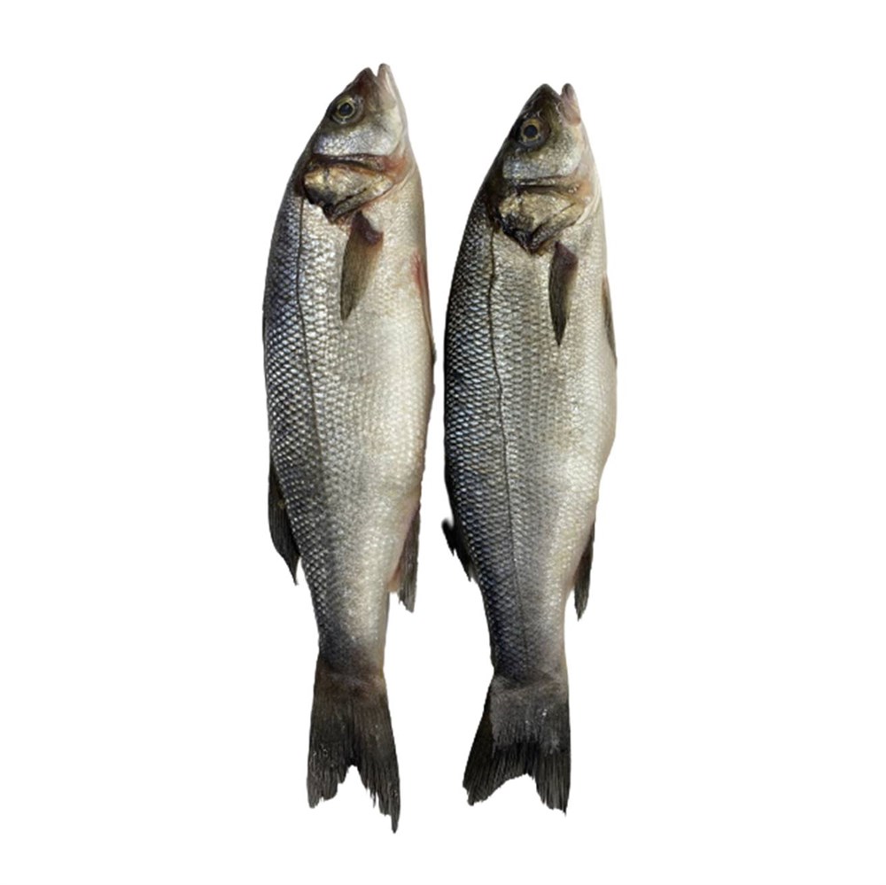 Balık Levrek Adet - Demtaş Kapında