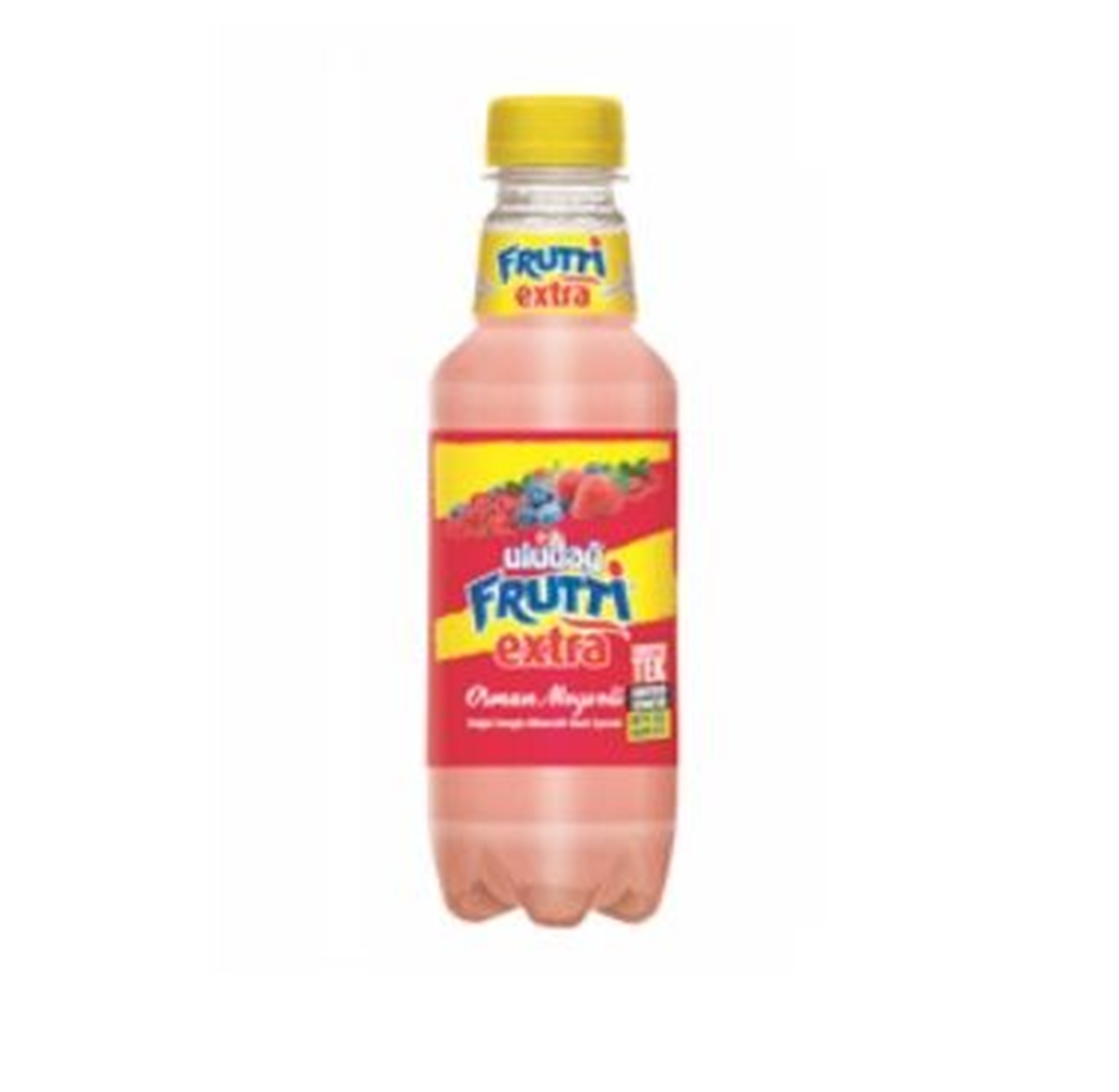 Uludağ Frutti Extra Orman Meyveli 300 Ml