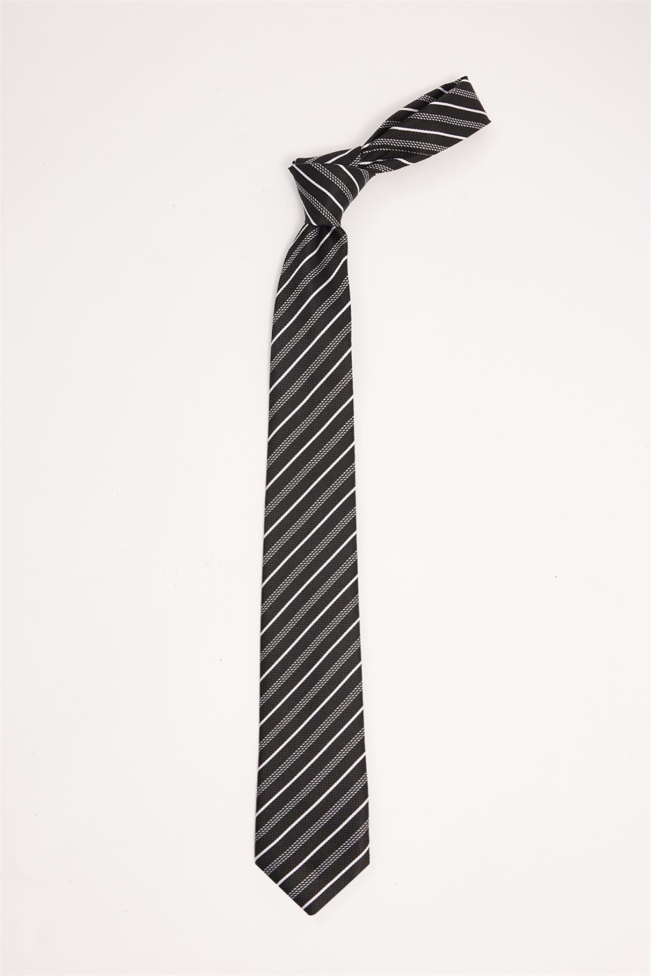 Klasik Cep Mendilli Desenli Kravat - TUDORS