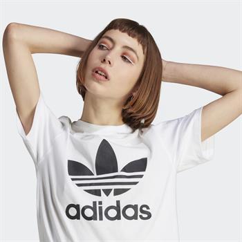 adidas Adicolor Classics Trefoil Kadın Tişört IK4036