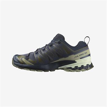 Salomon XA Pro 3D V9 Erkek Outdoor Ayakkabı L47467500