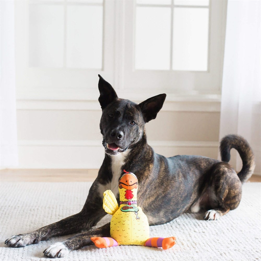 Fat Cat Barnyard Bullies Sesli Dayanıklı Kanvas Kumaş Köpek Oyuncağı