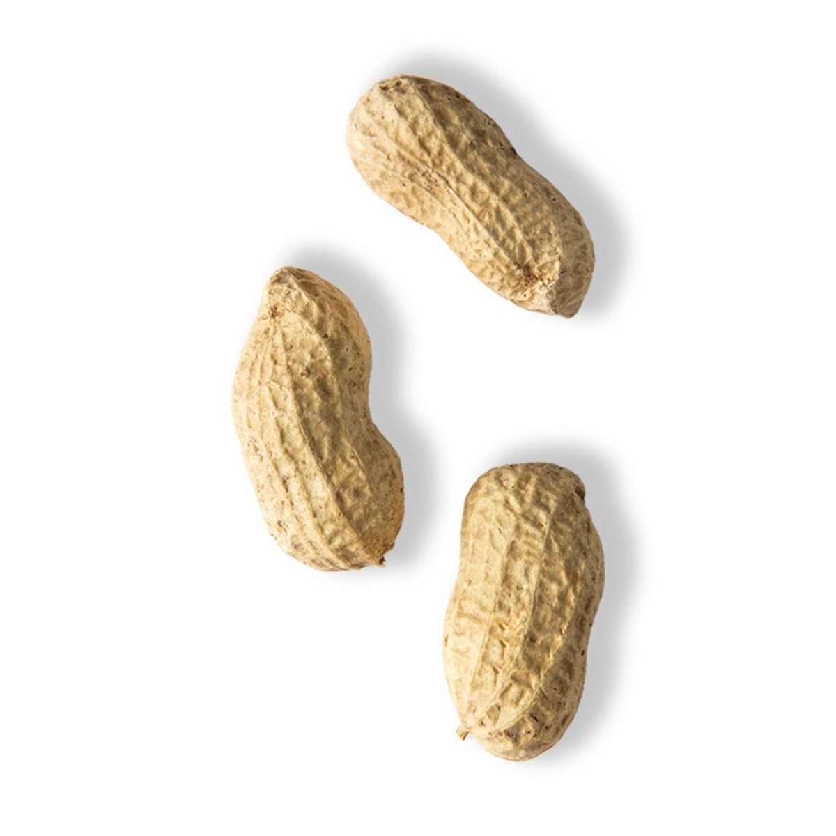 Kavrulmuş Kabuklu Fıstık | Yer Fıstığı | Ümit Kuruyemiş