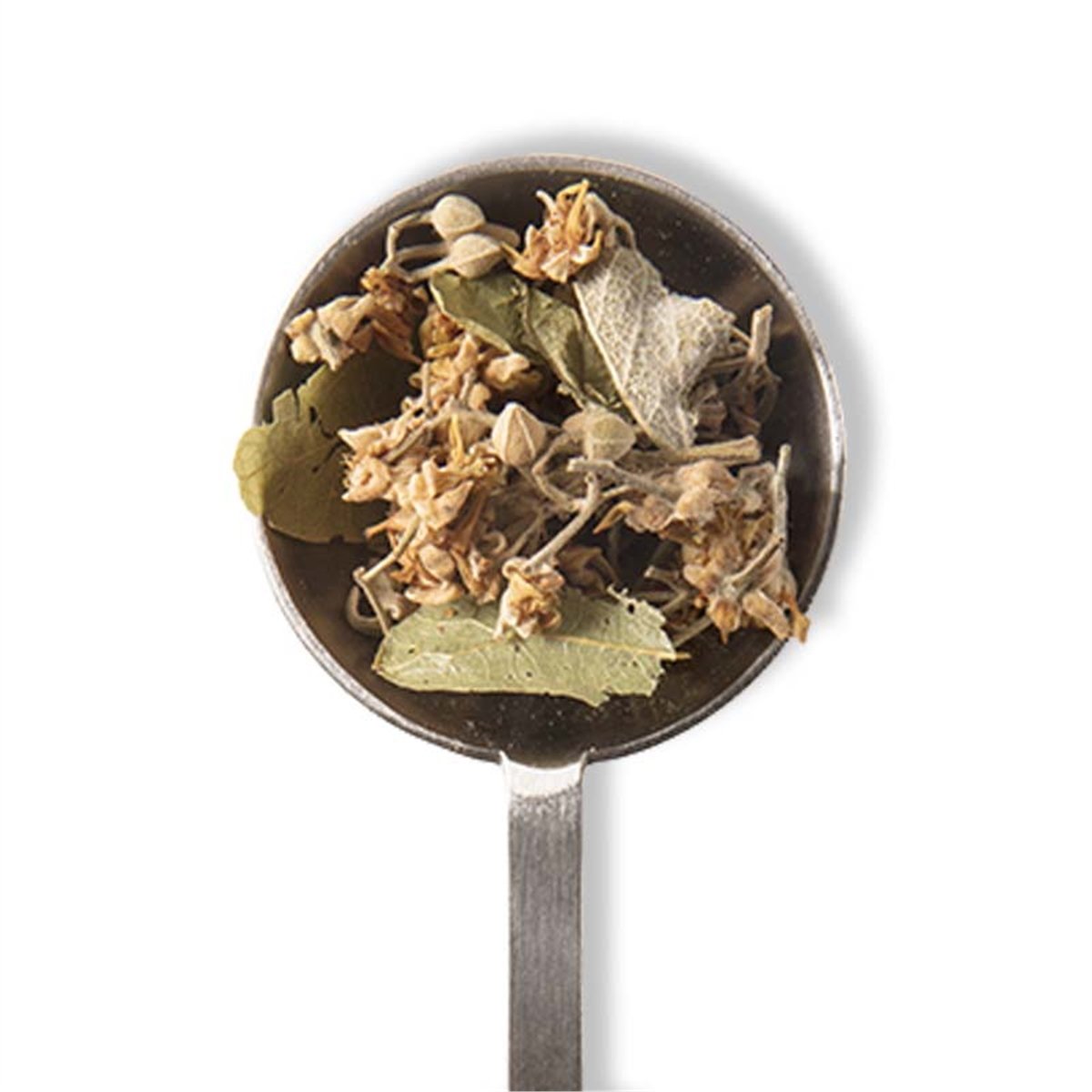 Ihlamur | Ümit Kuruyemiş