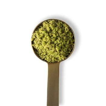 Taze Antep Fıstığı | Ümit Kuruyemiş