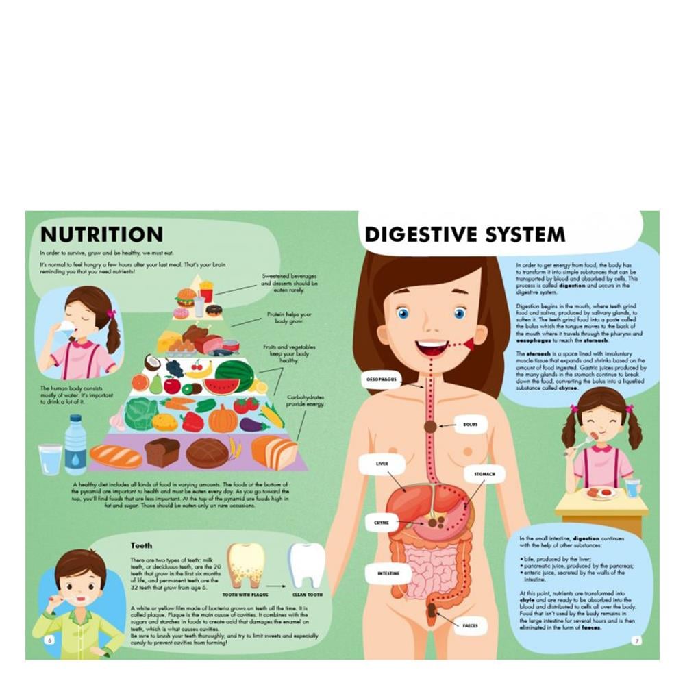 TRAVEL- LEARN AND EXPLORE - THE HUMAN BODY / SASSI