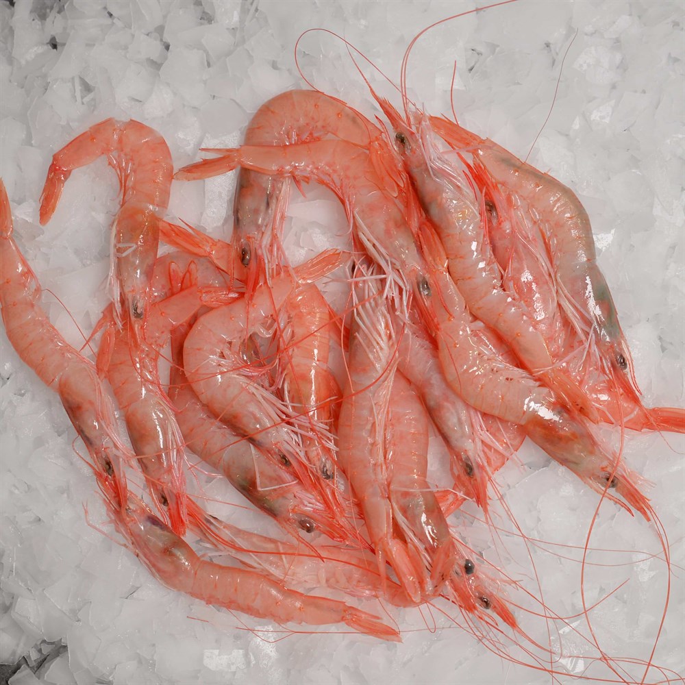 Kırmızı Karides 1.000 Gr | Balıkhanem | Online Taze Balık Satışı