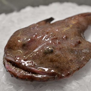 Fener Balığı | Balıkhanem | Online Taze Balık Satışı