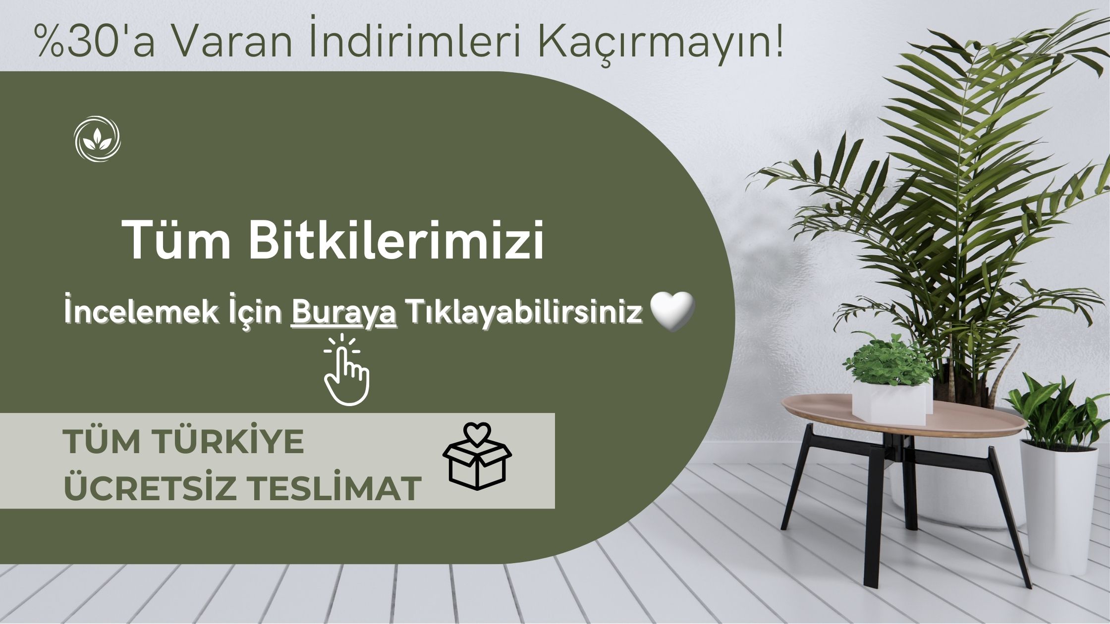 Bitkicimtr Bitki Alışverişinin En Kolay Adresi
