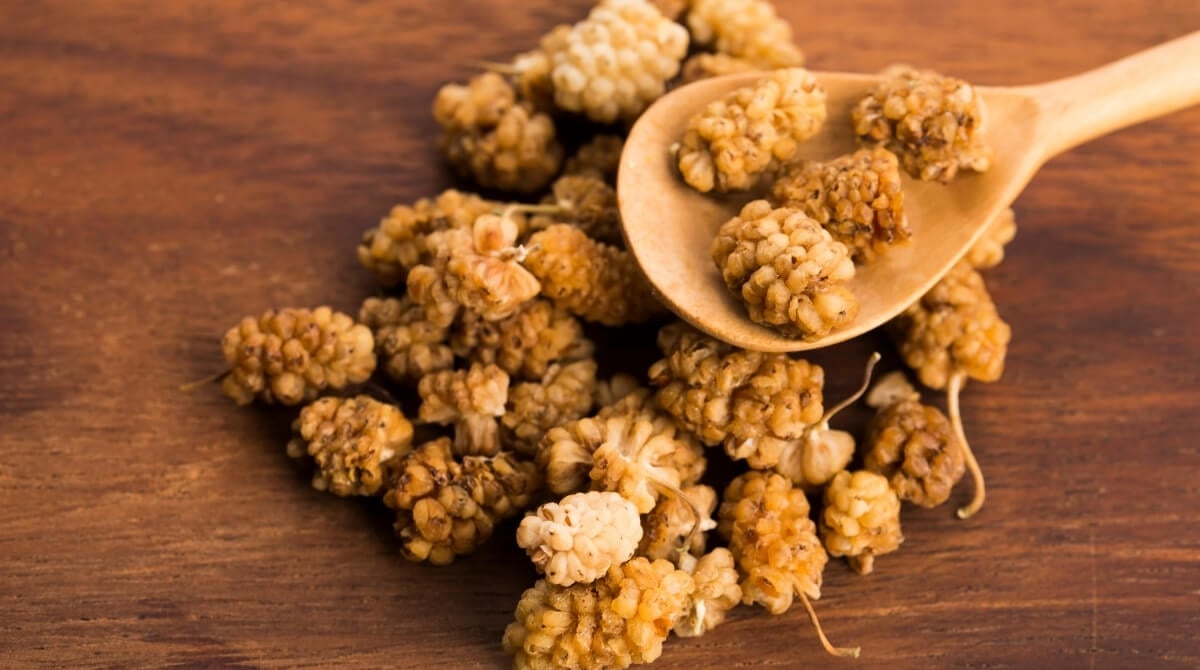 DUT KURUSU FAYDALARI NELERDİR?