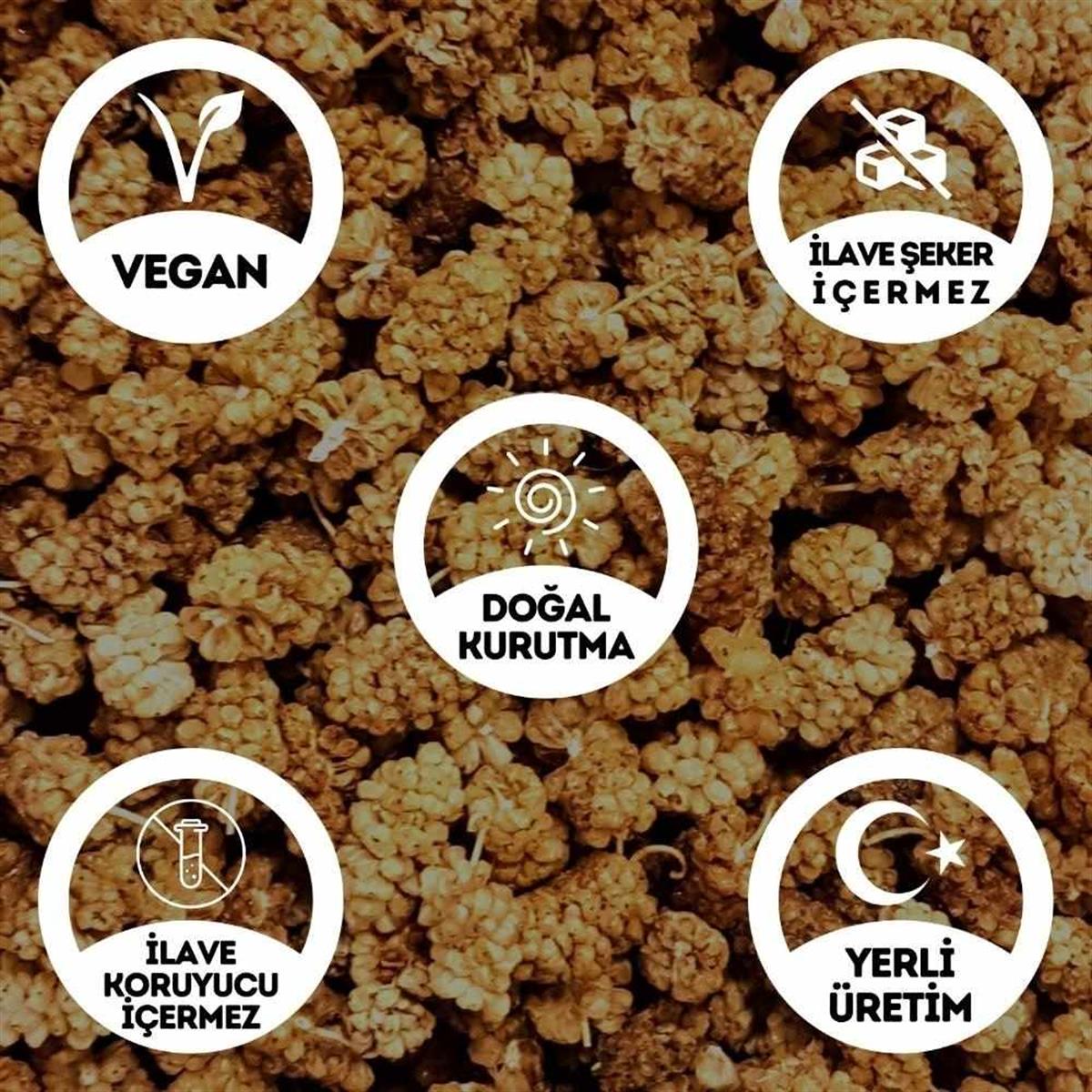 Dut Kurusu - Doğal Kurtulmuş Dut - Egeye Dönüş