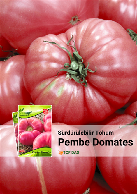 Pembe Köy Domatesi 400 adet tohum