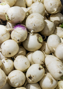 Beyaz Turp Tohumu 10 gr