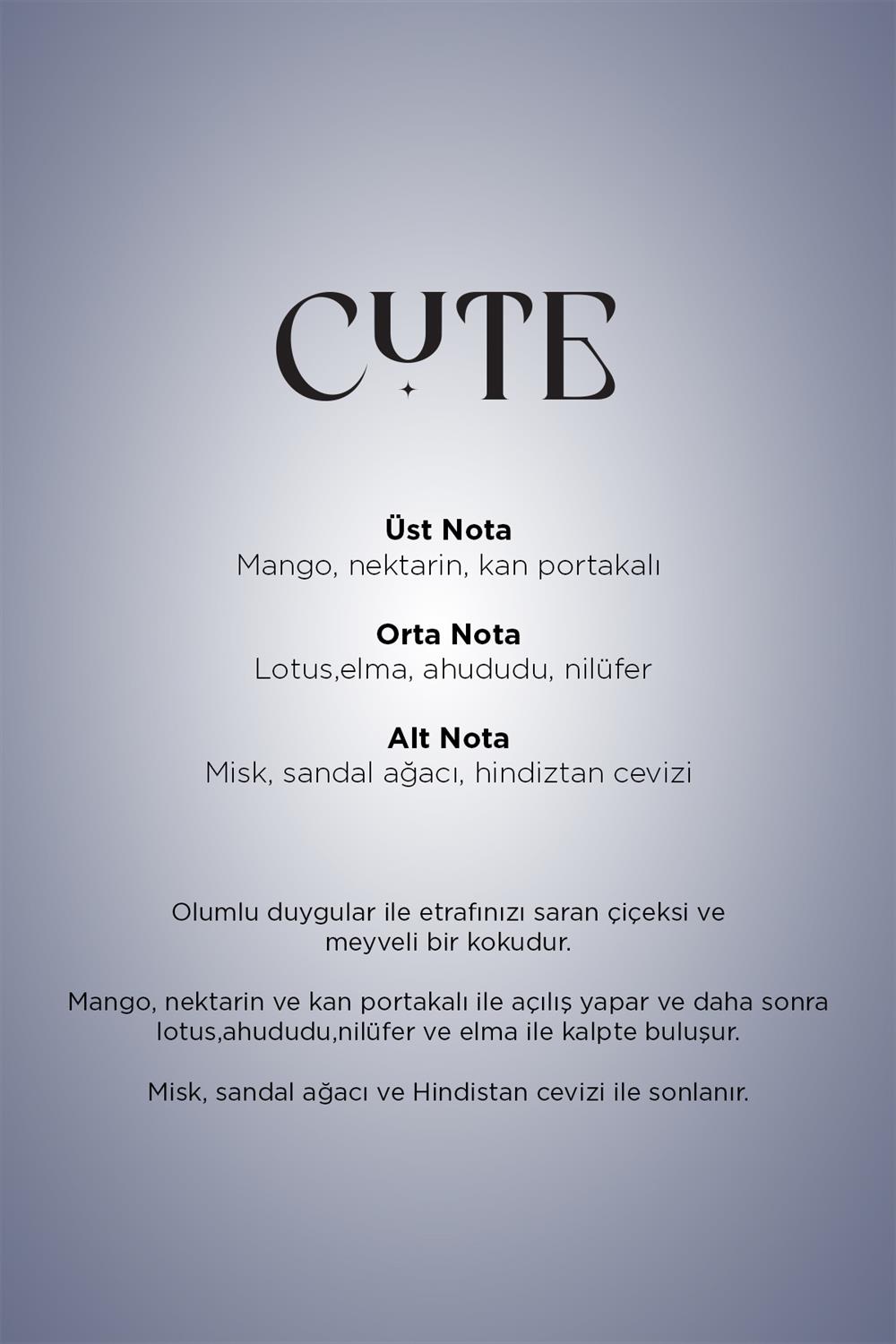 E2 Power Eco-X Koku Makinesi ve Cute E2 Power Koku Kartuşu 125 ML Seti