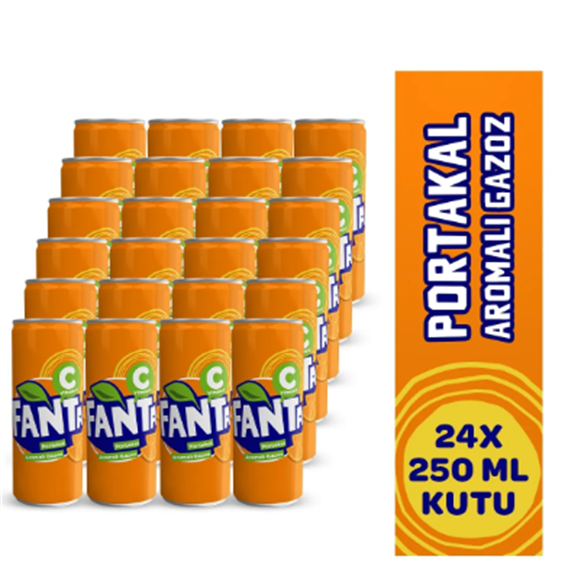 ETC.FANTA PORTAKAL KUTU 250 ML X 24 ADET