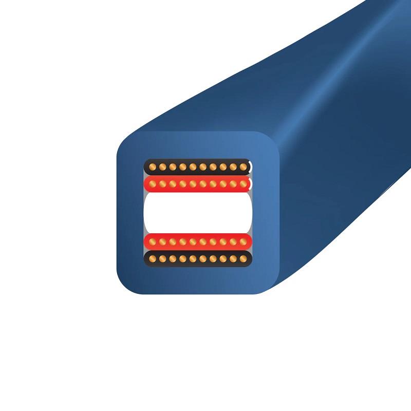 WIREWORLD Oasis 10 Hoparlör Kablosu