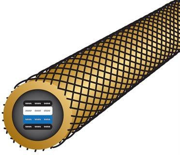 Wireworld Gold Eclipse 6 XLR Kablo