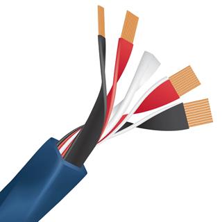 WIREWORLD Oasis 10 Hoparlör Kablosu