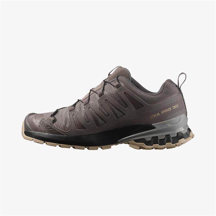 Salomon XA PRO 3D V9 GORE-TEX Kadın Outdoor Ayakkabı Plum Kitten L47744500