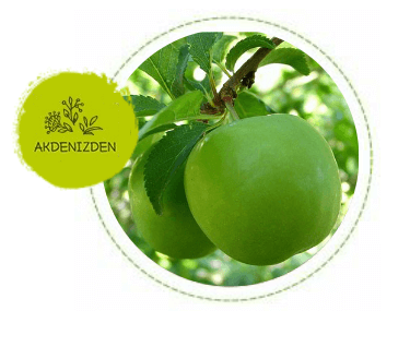 CAN ERİK -1KG - Taze & Doğal Meyve - Yeşil Limon