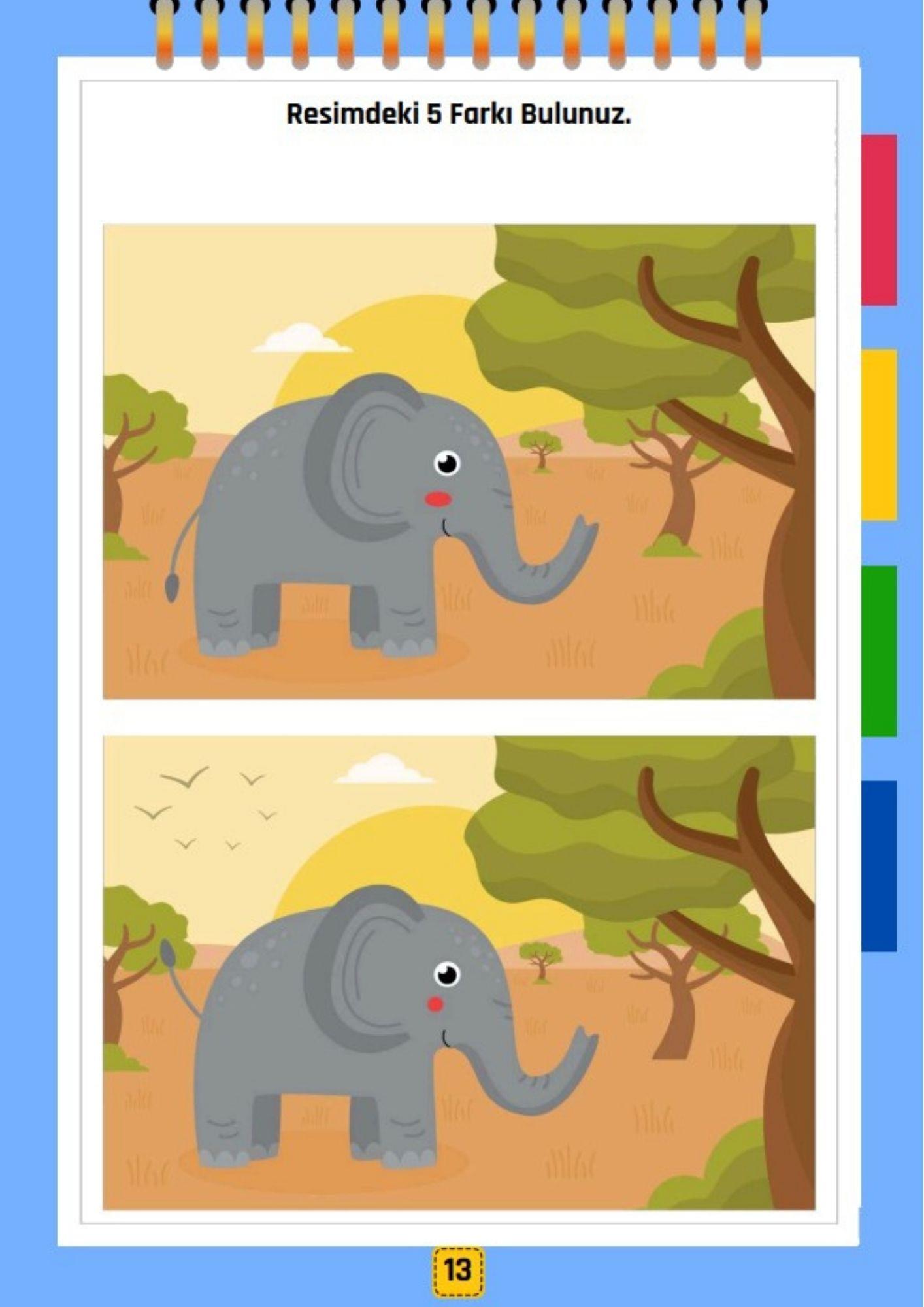 Fark Bulma Kitabı (100 TAM Sayfa Bulmaca)