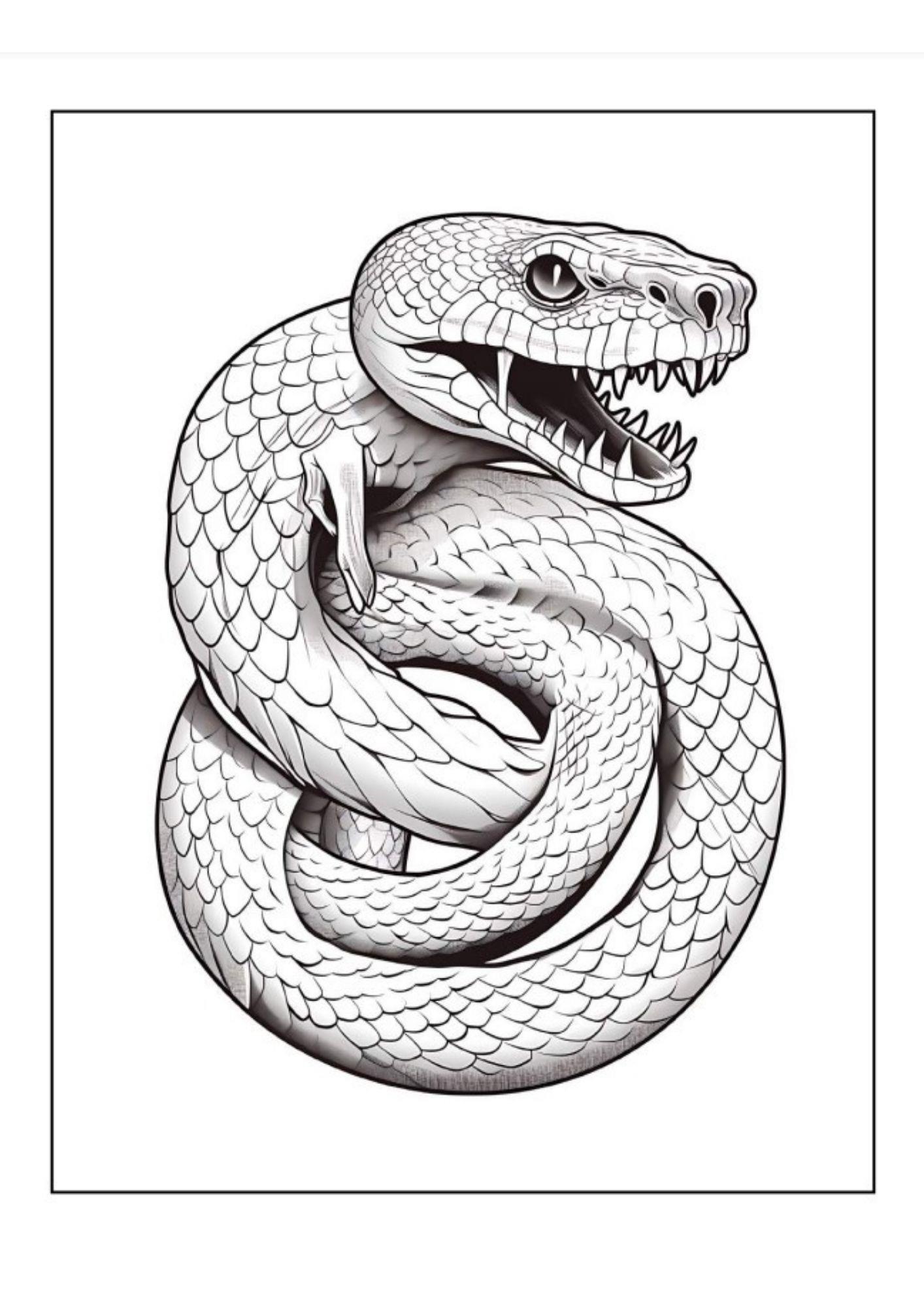 Kolaydan Zora TATTOO Boyama Kitap Seti (3 Kitap)