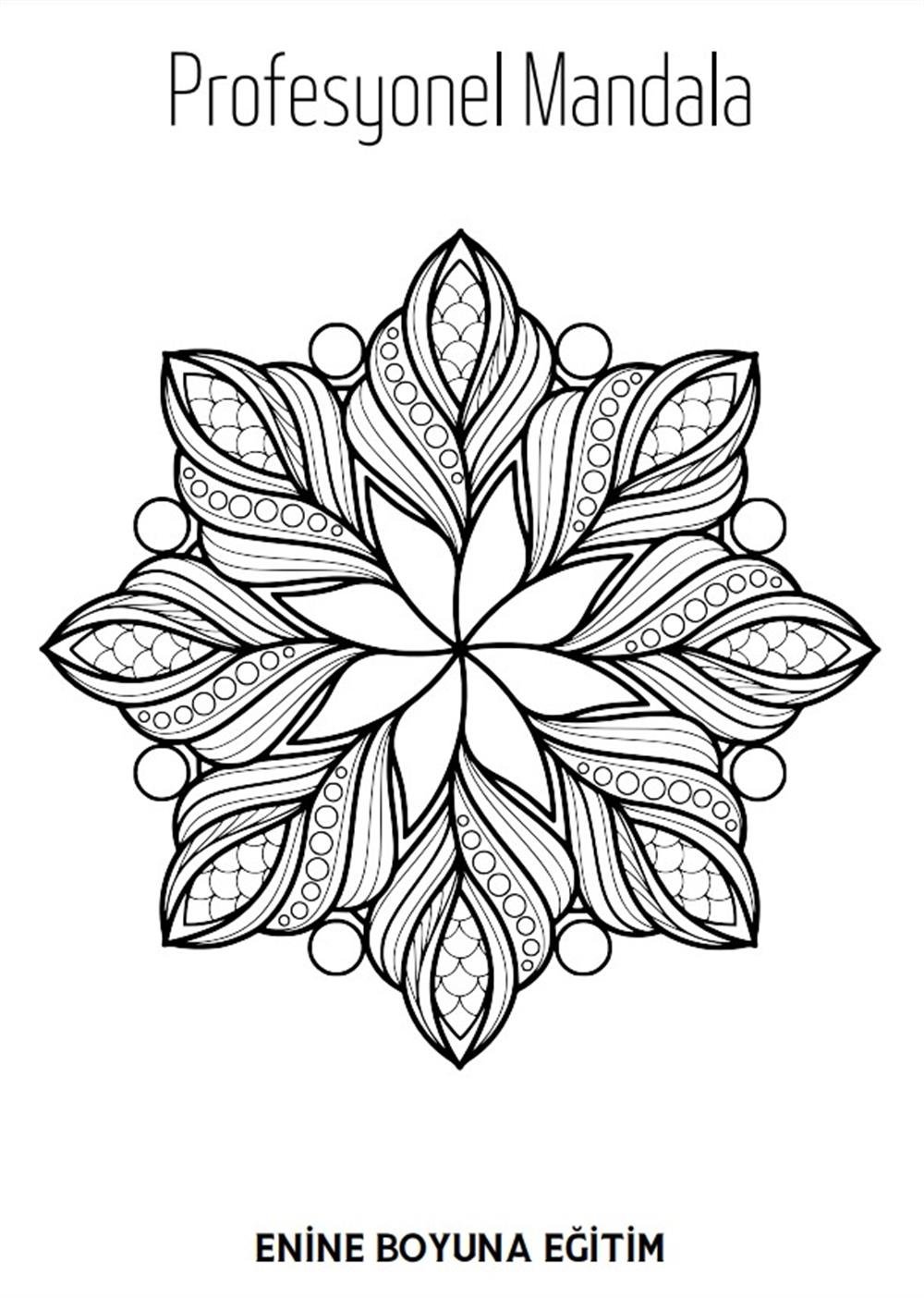 Süper MANDALA Kitap Seti (3 Kitap)